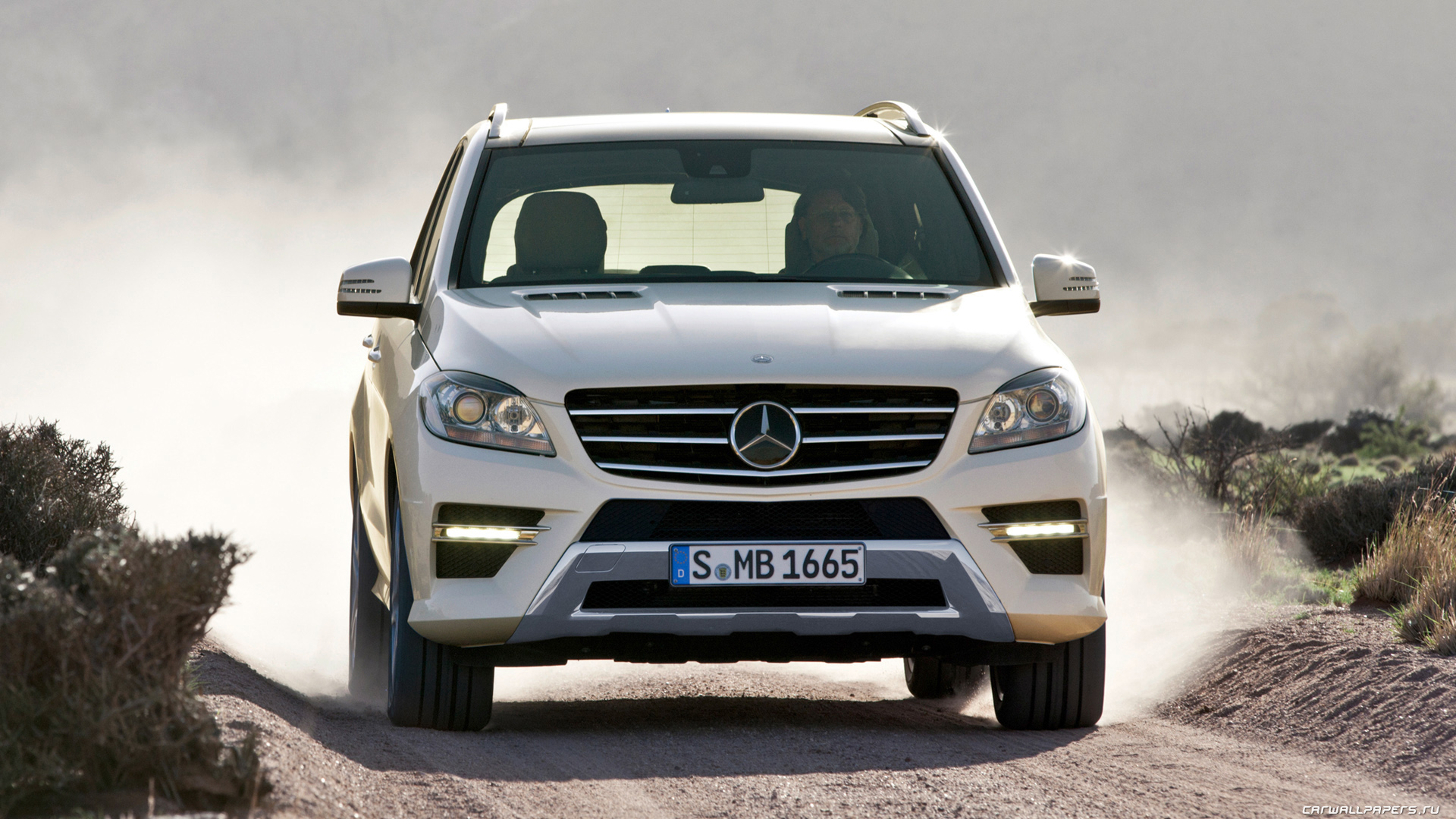 My perfect Mercedes ML class. 3DTuning - probably the best car ...