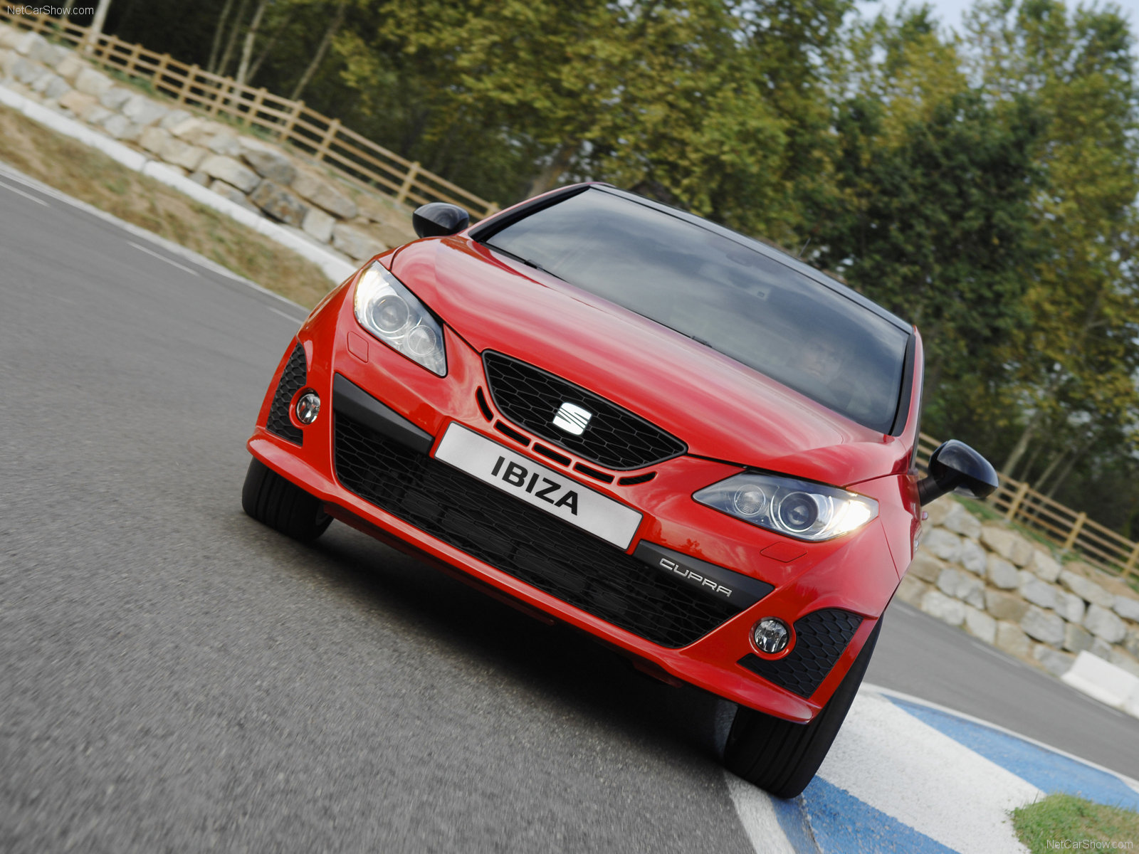 My perfect Seat Ibiza Cupra. 3DTuning - probably the best car configurator!